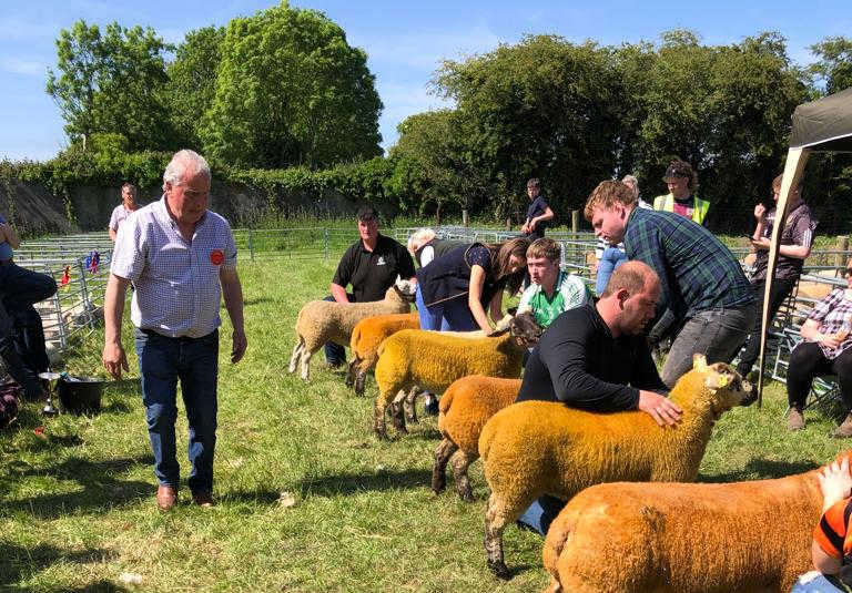 Athenry Agricultural Show 2027 event in Galway, Ireland.