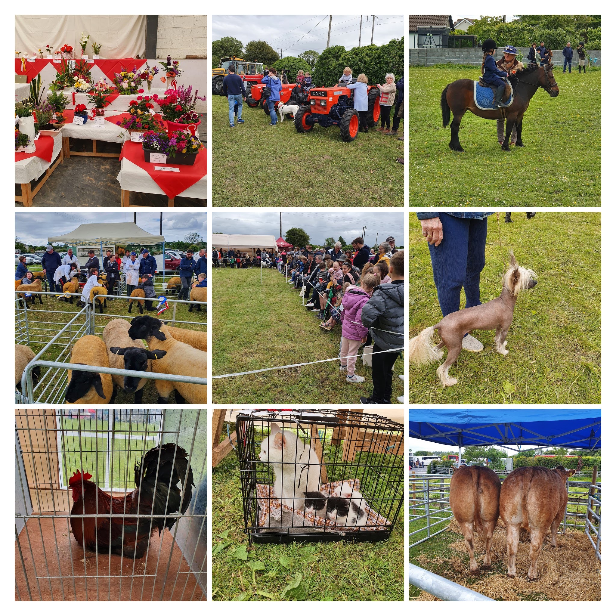 🐴 Claregalway Agricultural Show 2026 event in Galway, Ireland.