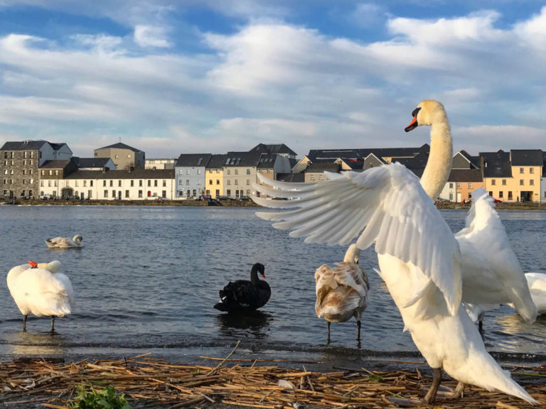 The Claddagh in Galway 2026 | History, Photos and Map ⛵