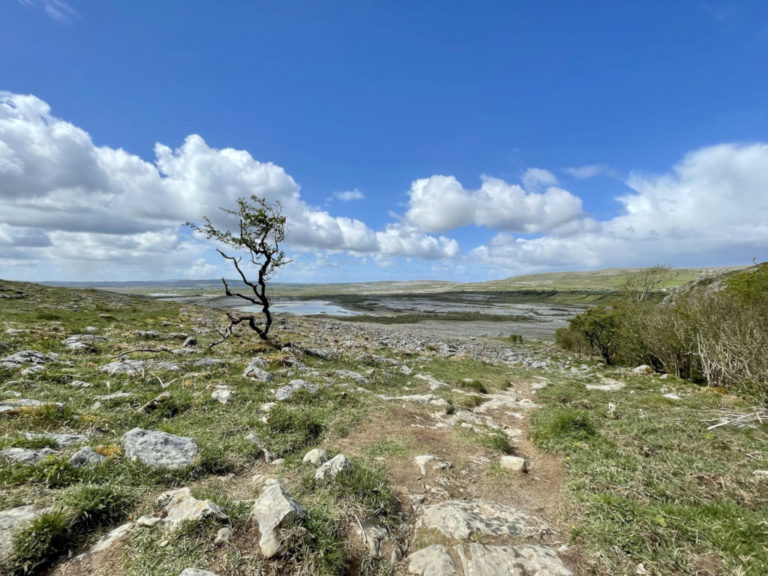 The Burren: All you need to know | Ireland's Unique Karst Landscape