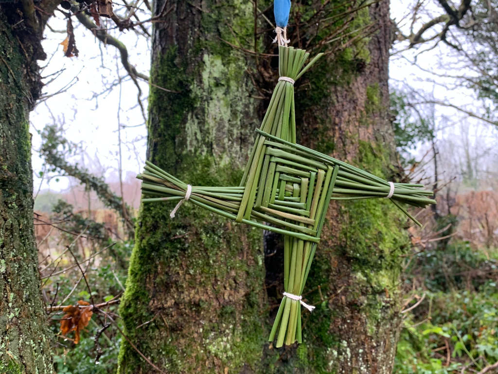 Celebrate St Brigid/Fhéile Bríde in Galway 2027 | Brigid's Day events 🌱