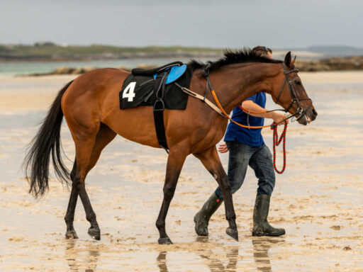 Omey Races 2026 in Claddaghduff, Co. Galway, Ireland 🏇