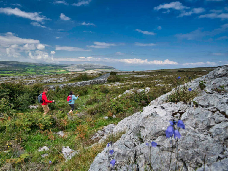The Burren: All you need to know | Ireland's Unique Karst Landscape
