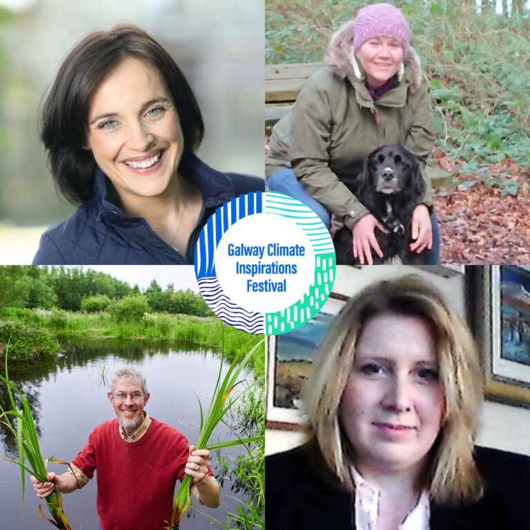 Galway Climate Festival | Positive Climate Action event 🌿