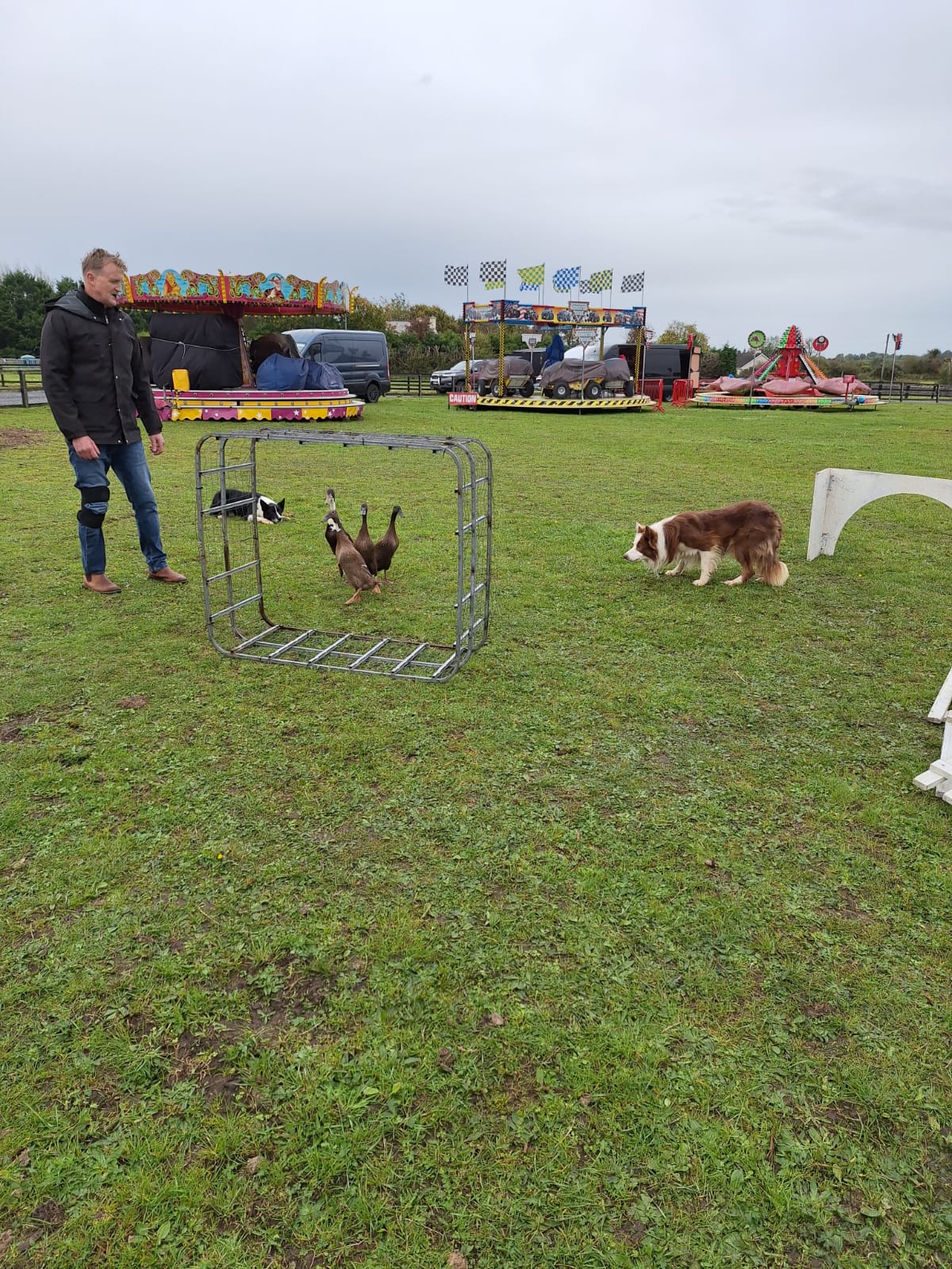 Glenamaddy Ploughing & Agricultural Show 2026 event in Galway 🚜